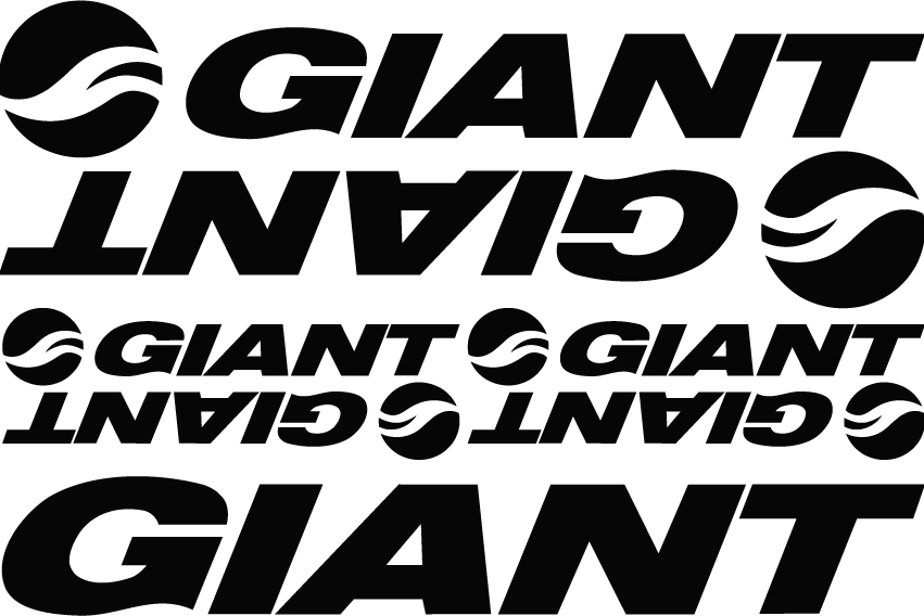 Naklejki na rowery SCOTT, MERIDA, GIANT i inne! 7338611476 - Allegro.pl