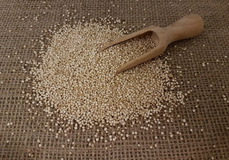 KOMOSA BIAŁA RYŻOWA quinoa biała naturalna 1kg • Cena, Opinie - Allegro