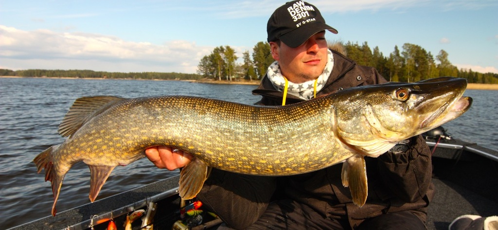 WĘDKA SHIMANO TECHNIUM CAST 2,08/28-84g z PAZUREM - 7128207124 ...